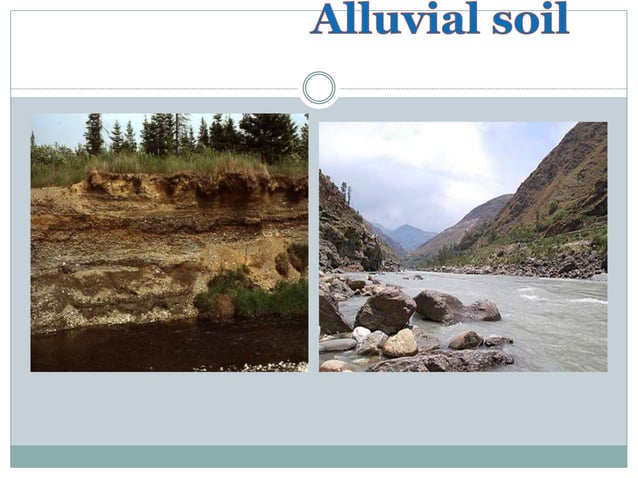 soil type and their characteristic | PPTX | Gardening | Home & Garden