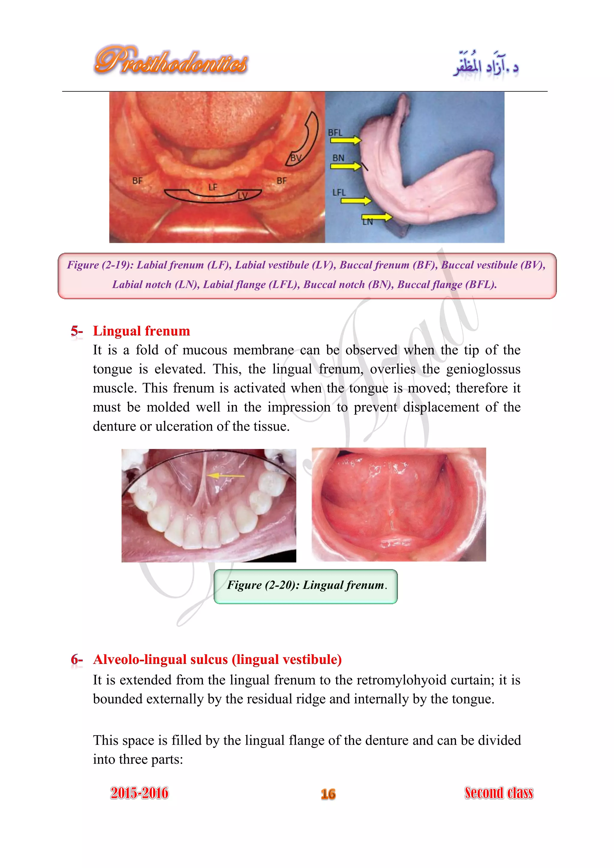 Complete denture prosthodontics 2016 | PDF