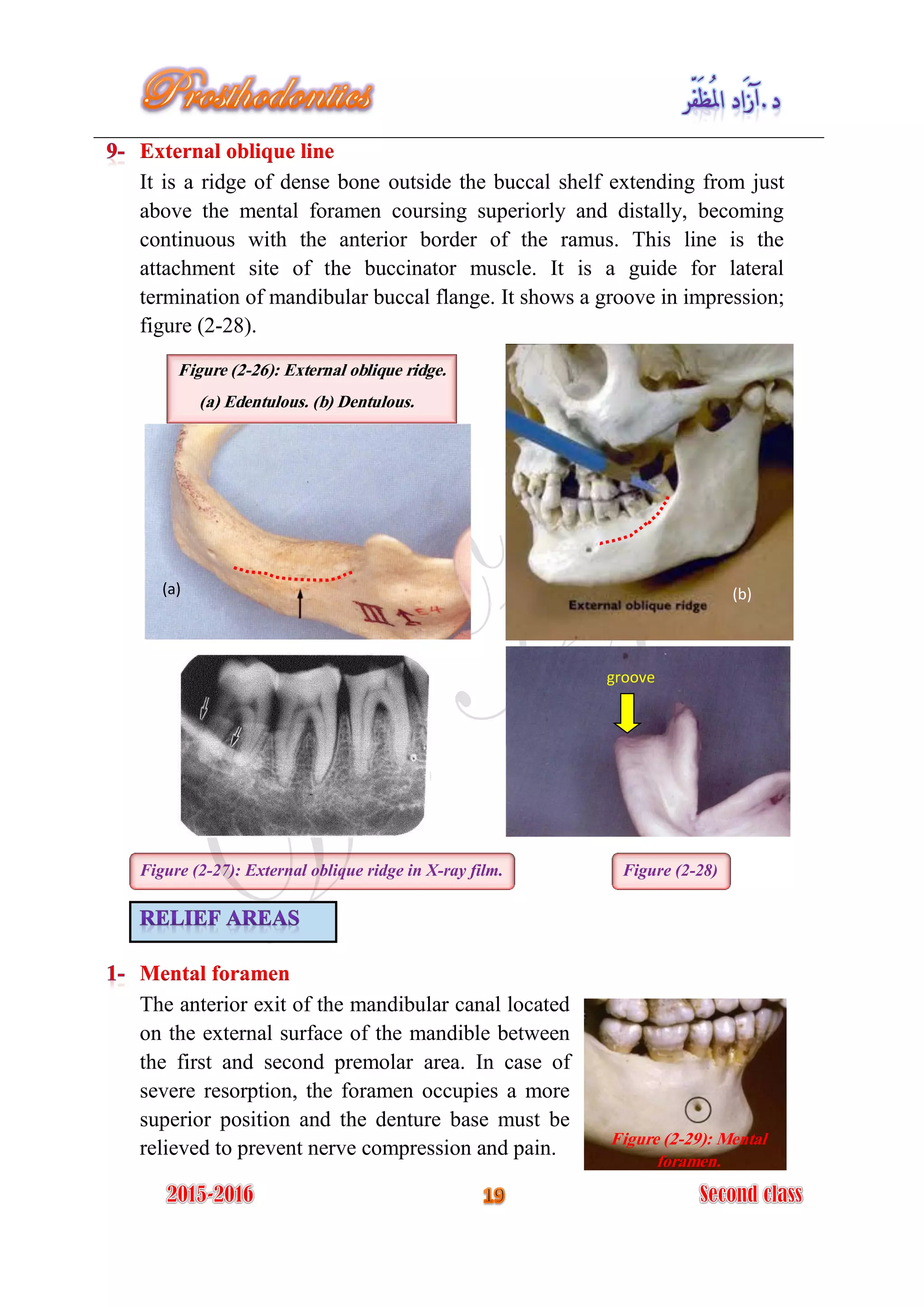 Complete denture prosthodontics 2016 | PDF