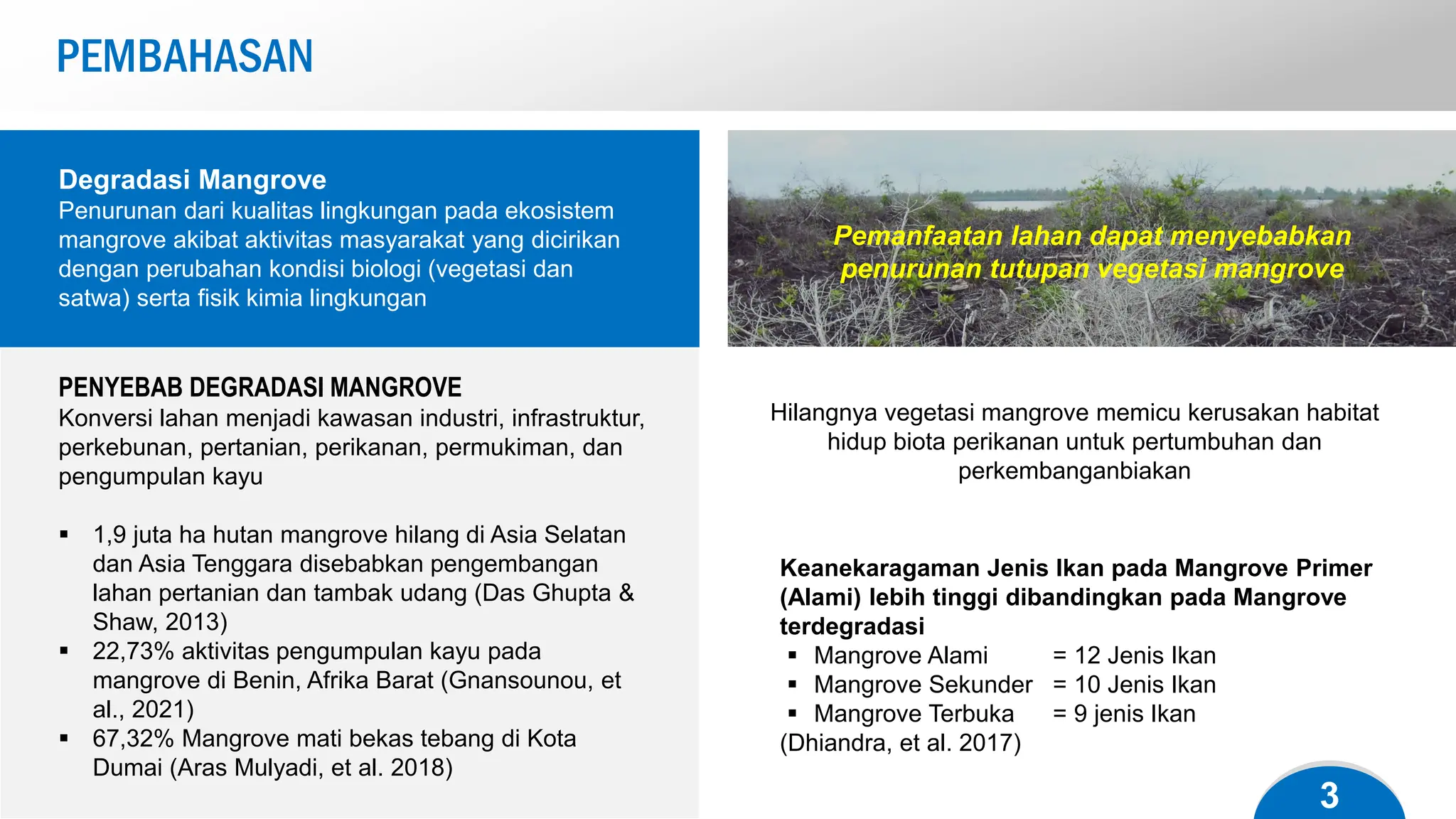 Rudy Haryanto - Degradasi Mangrove.pdf