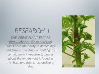 plant progject_los | KEY