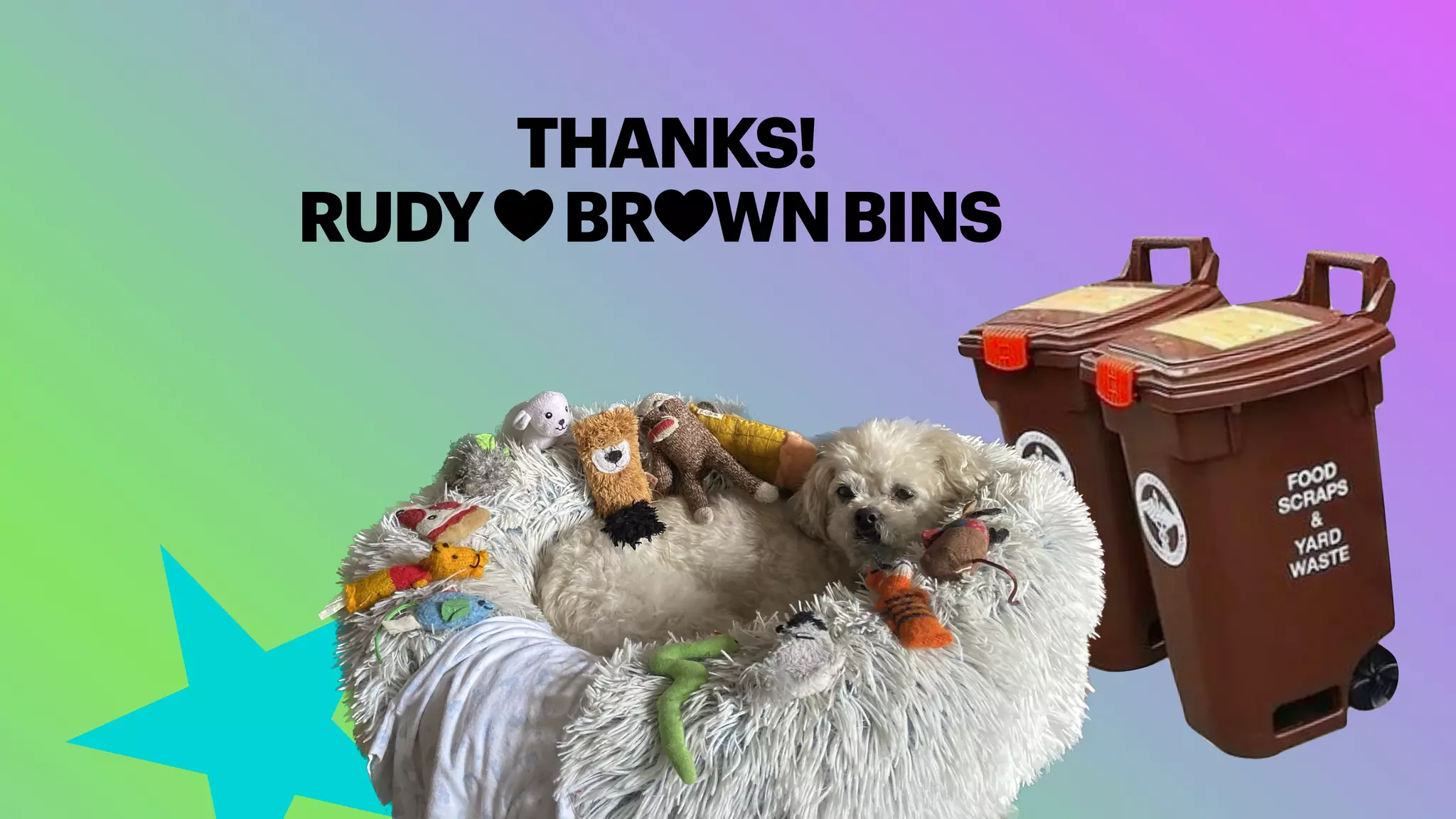 rudys_compost_party copy.pdf