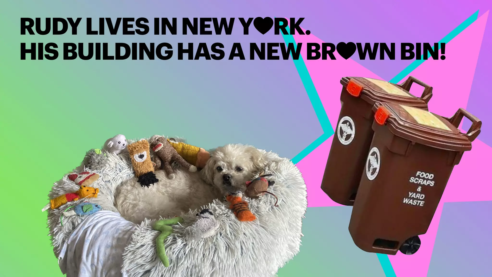 rudys_compost_party copy.pdf