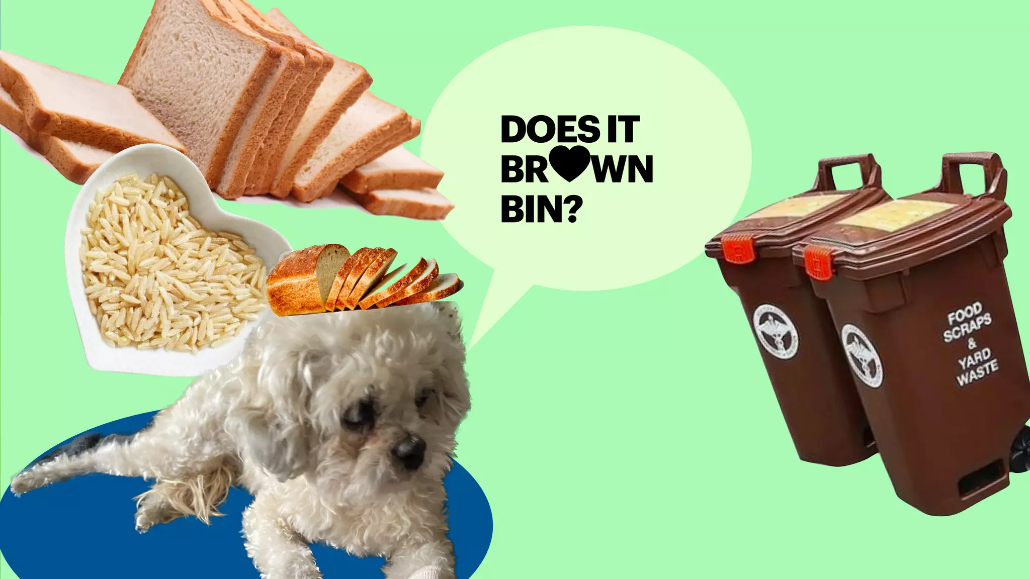 rudys_compost_party copy.pdf