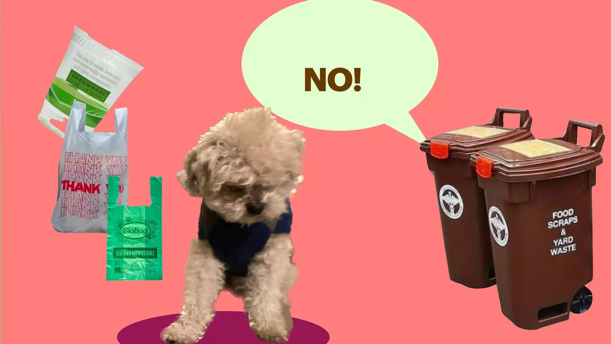 rudys_compost_party copy.pdf