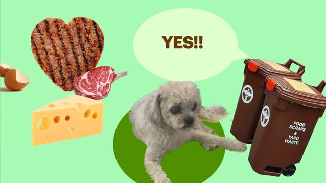 rudys_compost_party copy.pdf