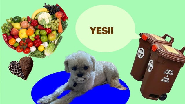 rudys_compost_party copy.pdf