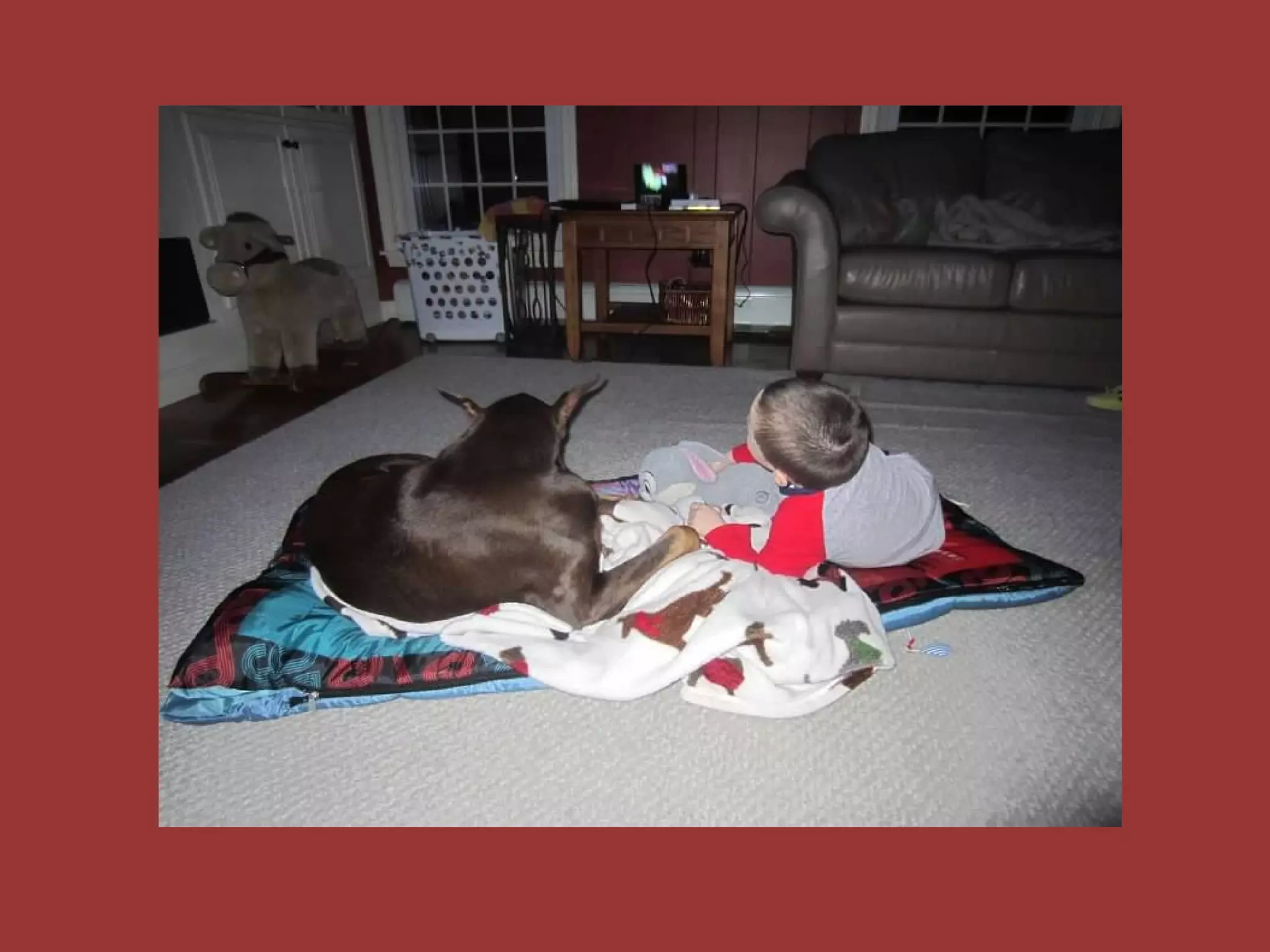 Rudy slide show | PPT