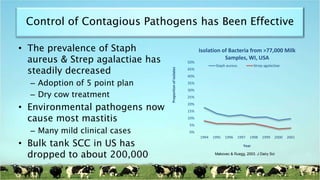 Implementing and Evaluating a Selective Dry Cow Therapy Program | PPTX