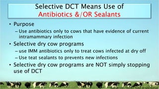 Implementing and Evaluating a Selective Dry Cow Therapy Program | PPTX