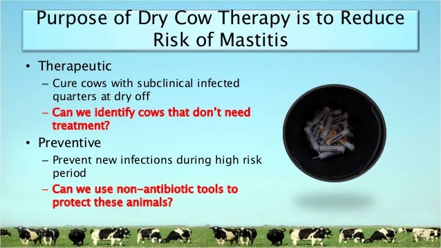 Implementing and Evaluating a Selective Dry Cow Therapy Program