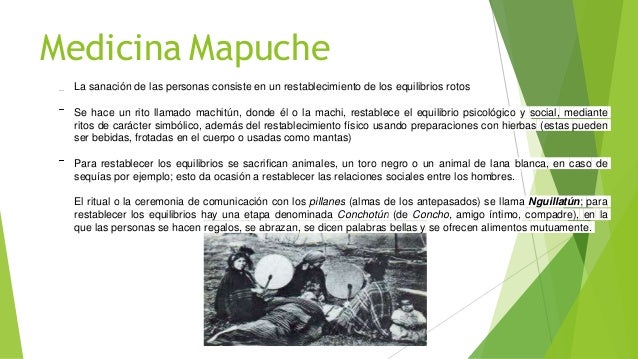 Salud Mapuche