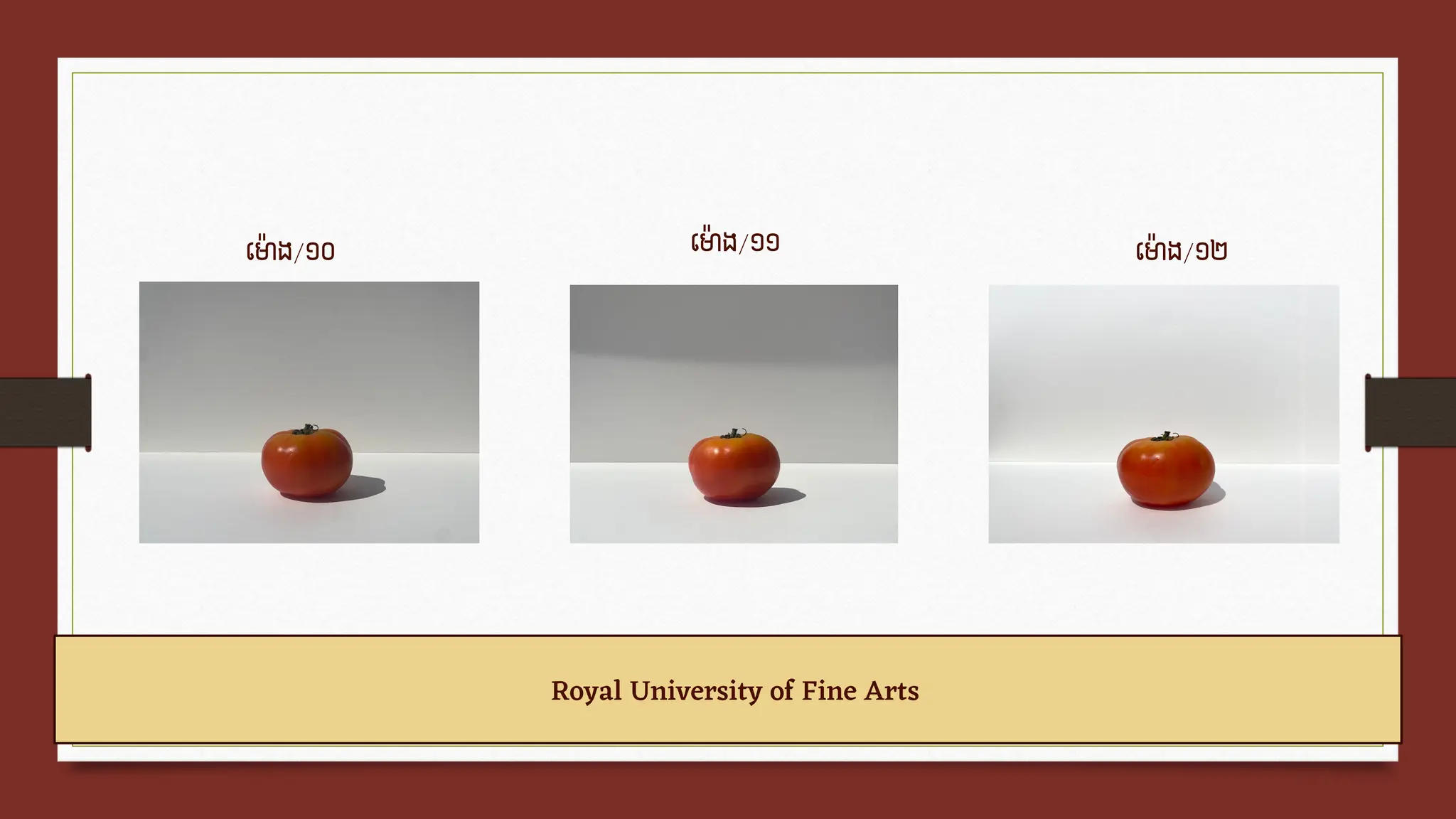 Presentation of Rufa | PDF