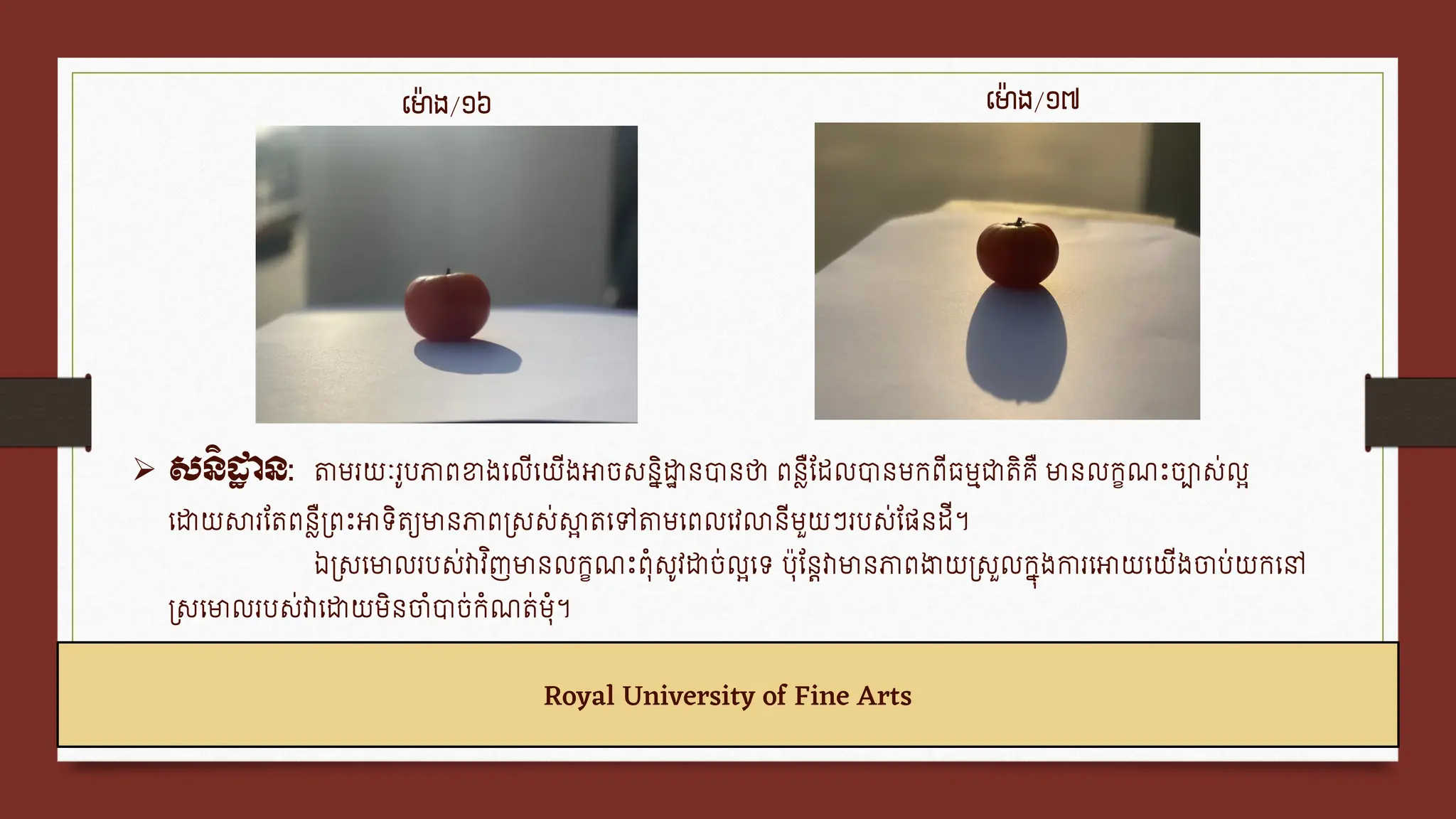 Presentation of Rufa | PDF