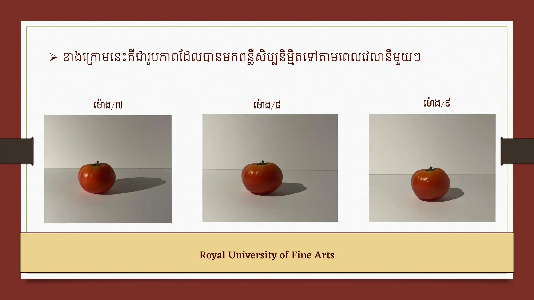 Presentation of Rufa | PDF