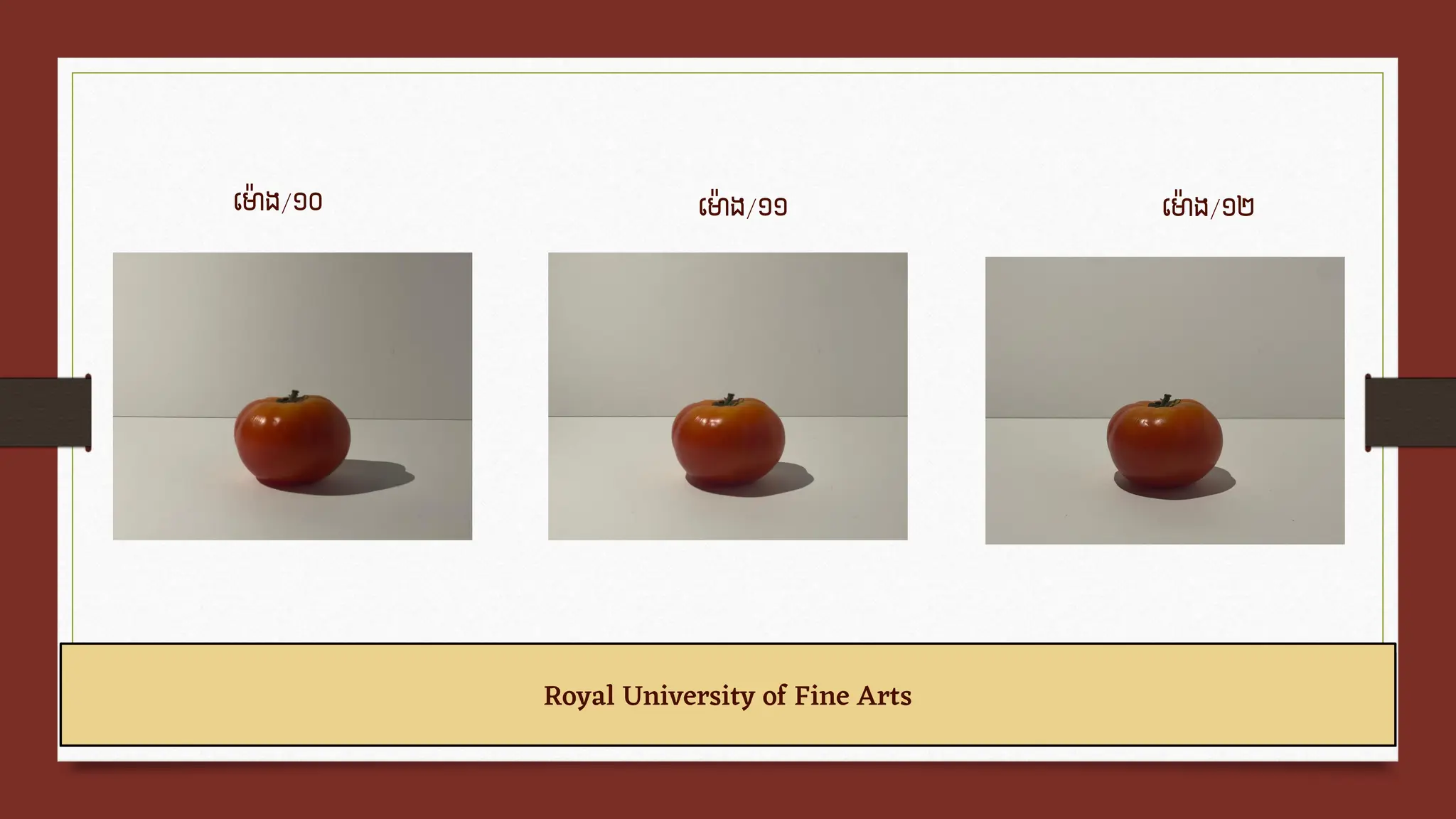 Presentation of Rufa | PDF