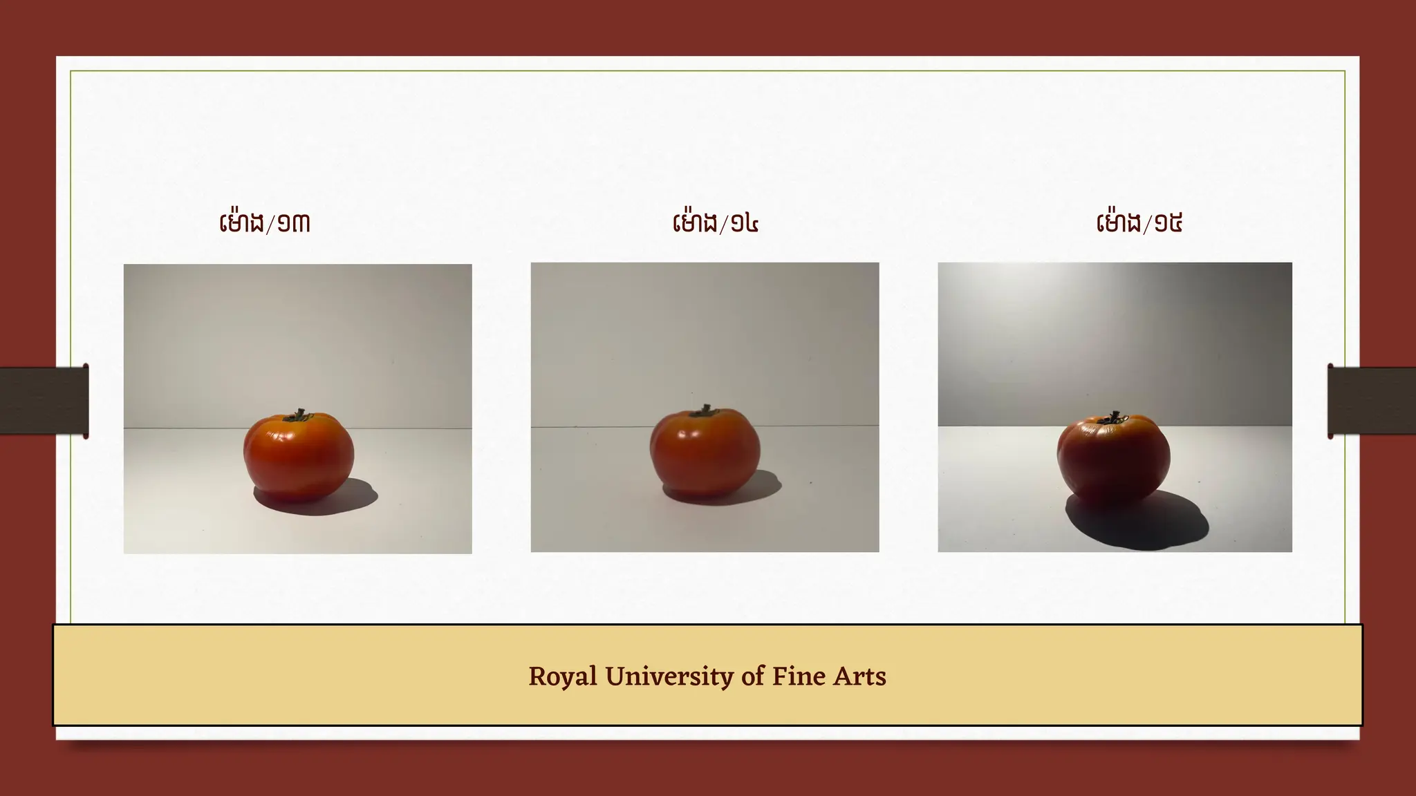 Presentation of Rufa | PDF