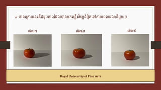 Presentation of Rufa | PDF
