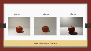 Presentation of Rufa | PDF