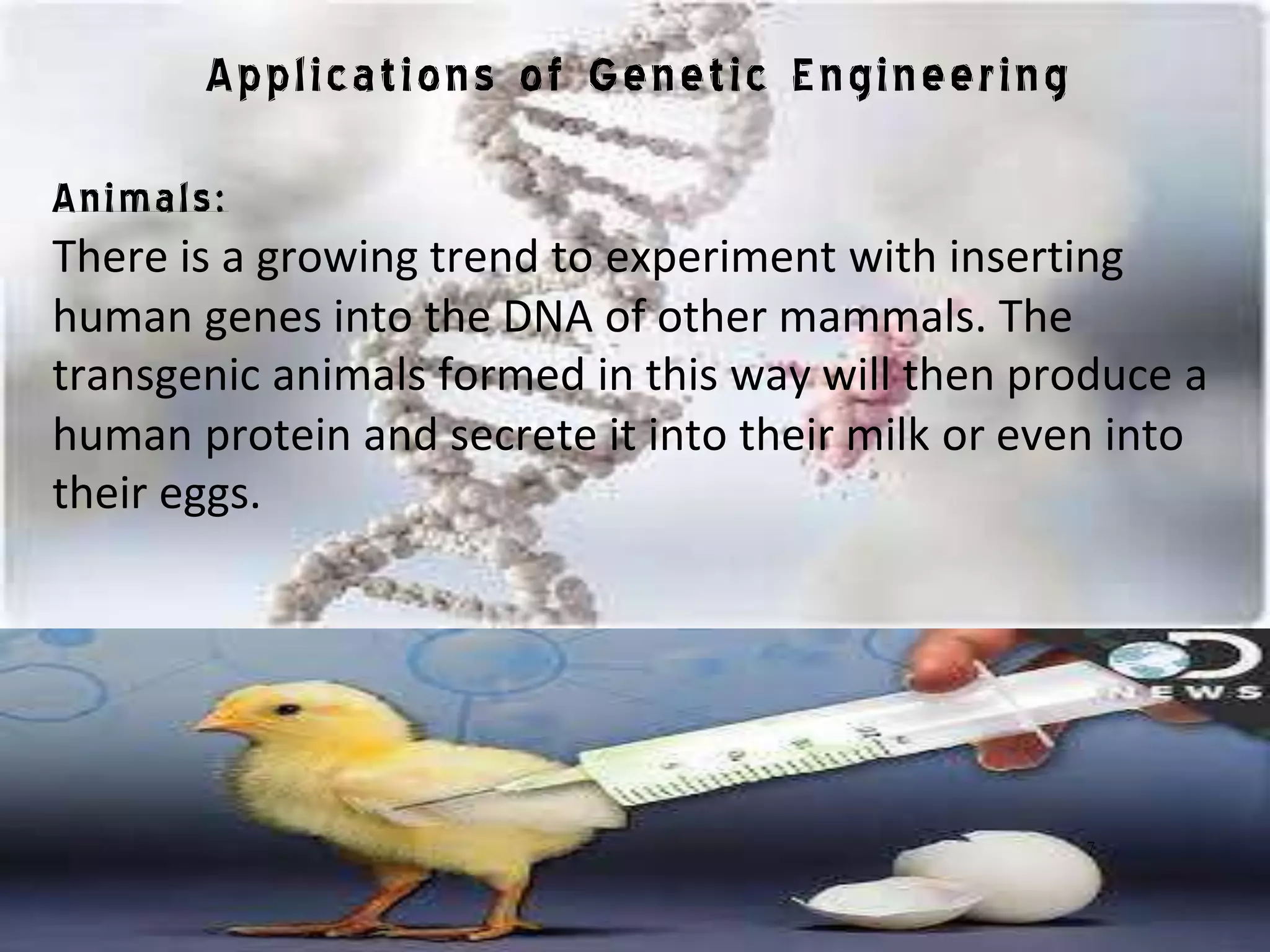 Genetic Engineering Tools and Techniques | PPTX