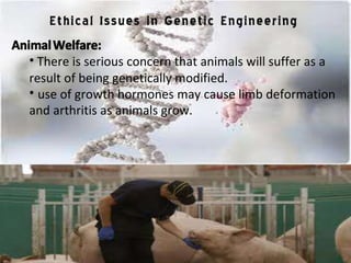 Genetic Engineering Tools and Techniques | PPTX