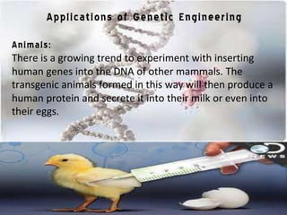 Genetic Engineering Tools and Techniques | PPTX