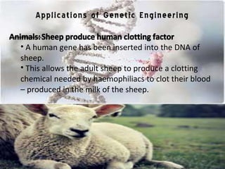 Genetic Engineering Tools and Techniques | PPTX