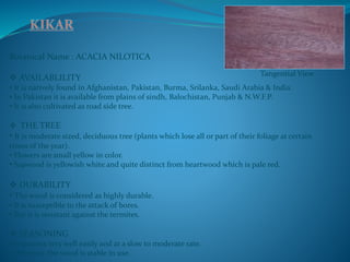 Woods Of Pakistan | PPTX