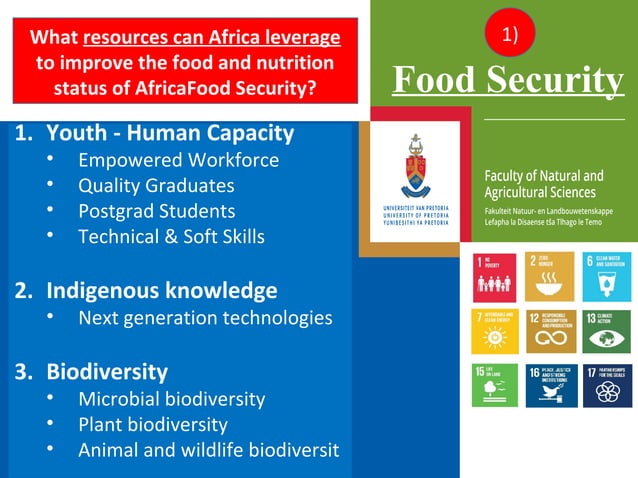 Strengthening Food and Nutrition Security in Africa: Food Safety in a ...