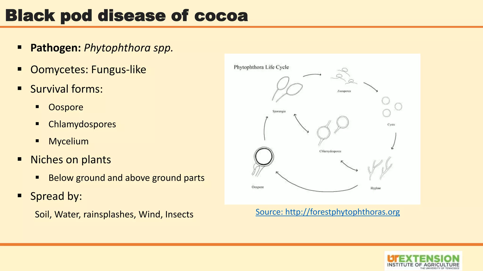 Rufus plant microbe interactions | PPTX