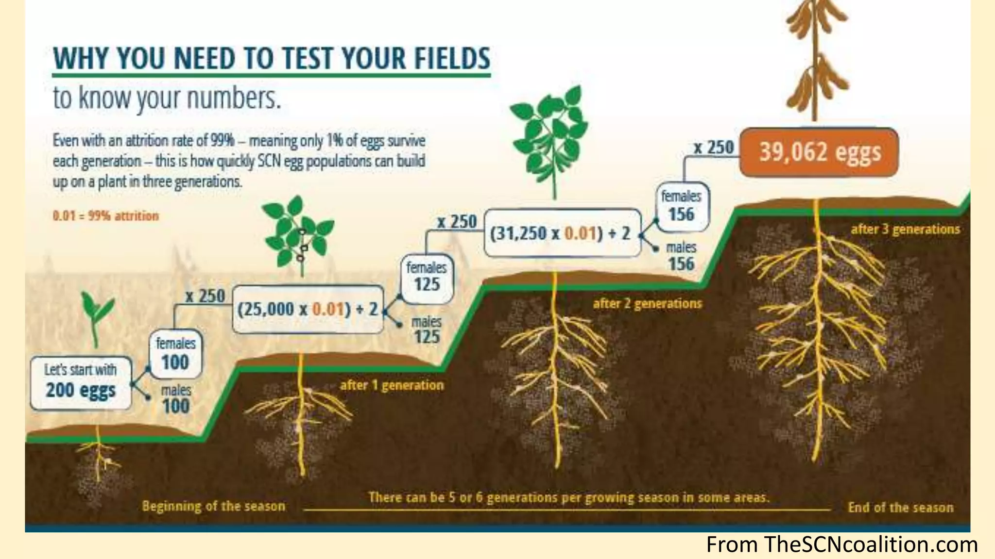 Rufus plant microbe interactions | PPTX
