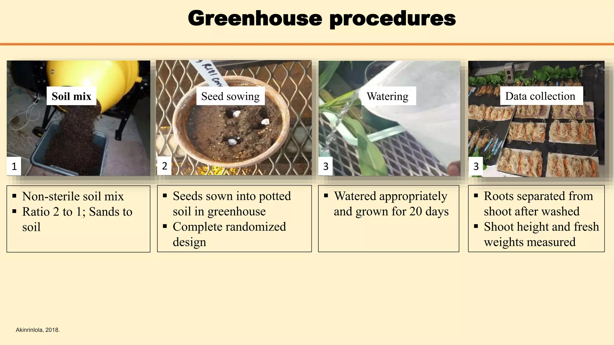 Rufus plant microbe interactions | PPTX