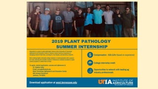 Rufus plant microbe interactions | PPTX