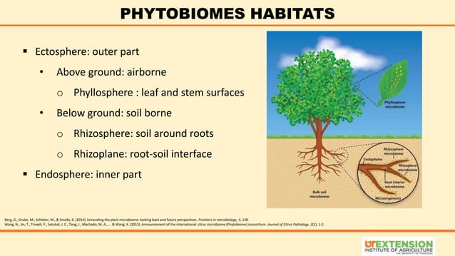 Rufus plant microbe interactions | PPT
