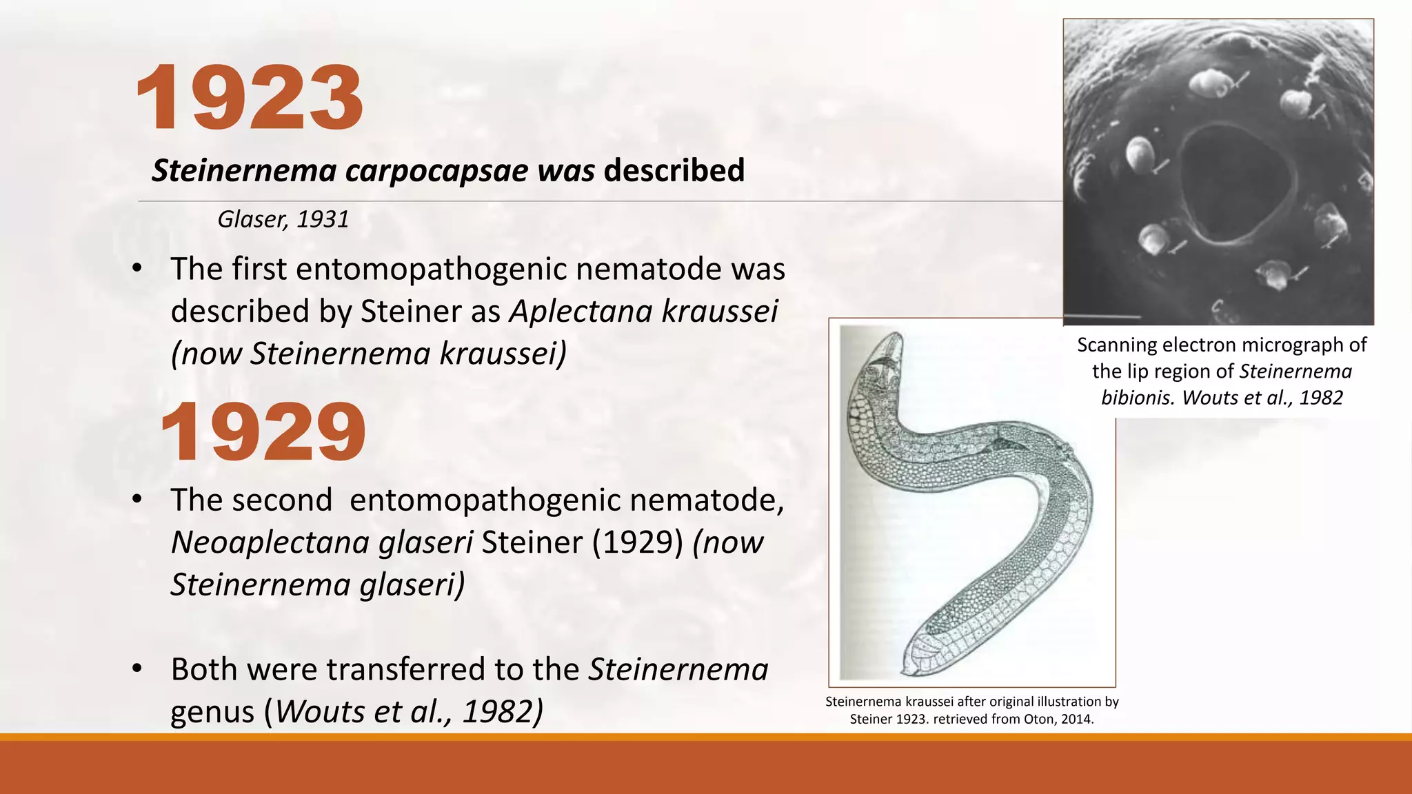 Wayback: History of Entomopathogenic Nematodes.pptx