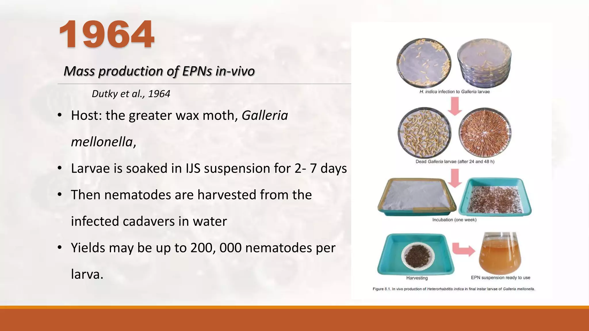 Wayback: History of Entomopathogenic Nematodes.pptx