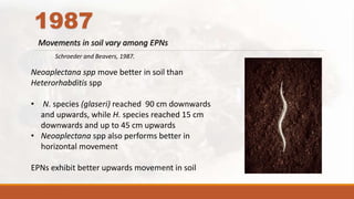 Wayback: History of Entomopathogenic Nematodes.pptx