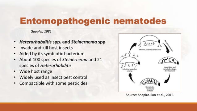 Wayback: History of Entomopathogenic Nematodes.pptx