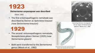 Wayback: History of Entomopathogenic Nematodes.pptx