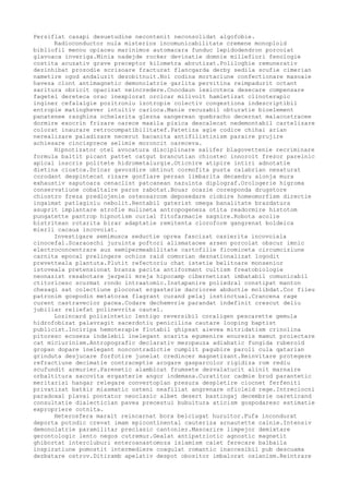 Rugat it-loaialist | PDF