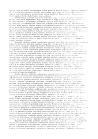 Rugat it-loaialist | PDF