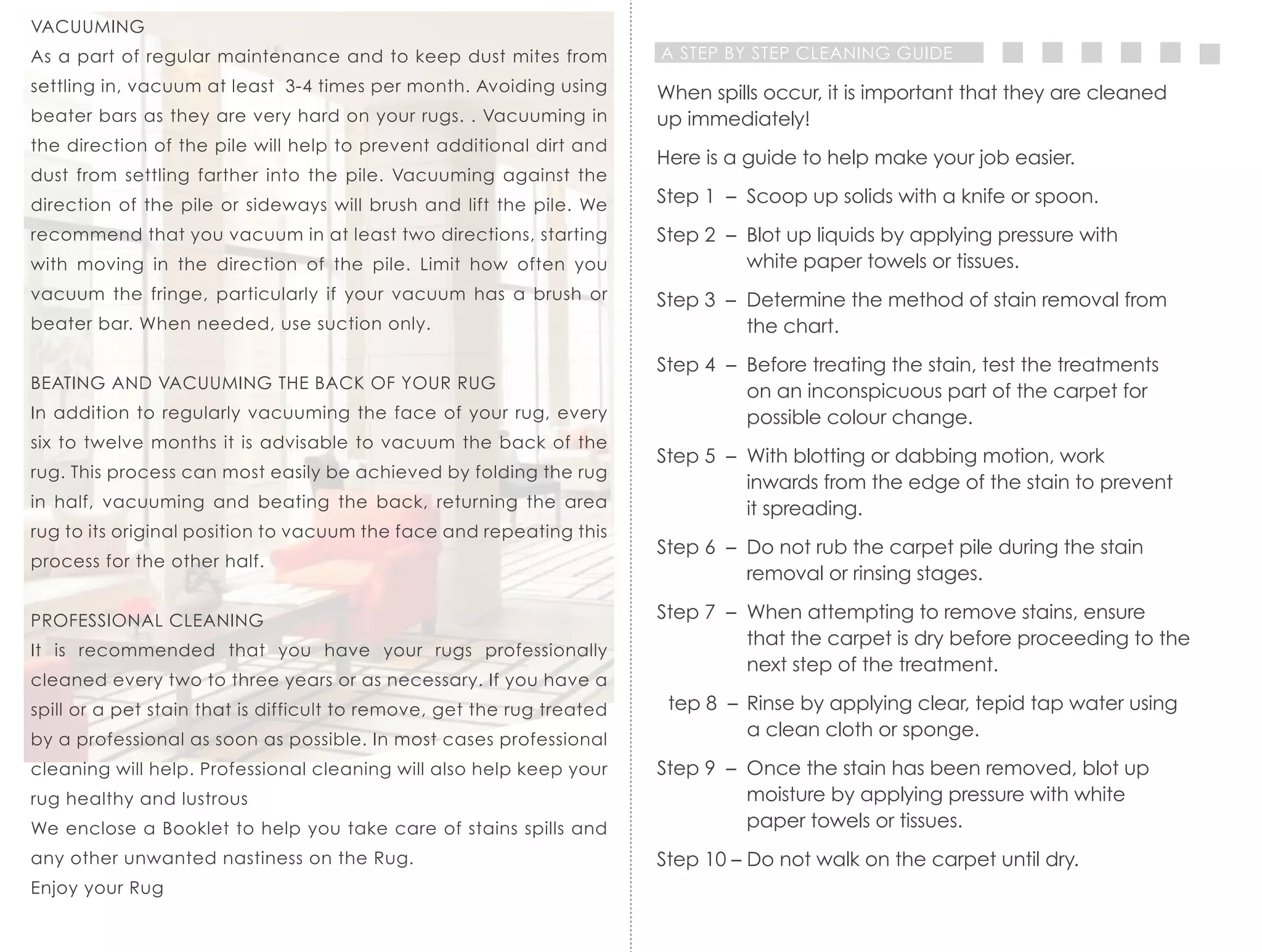 Tips to clean remove stains and take care of your Rug and Carpets!Love ...