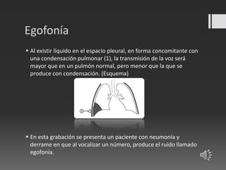 Ruidos pulmonares | PPTX