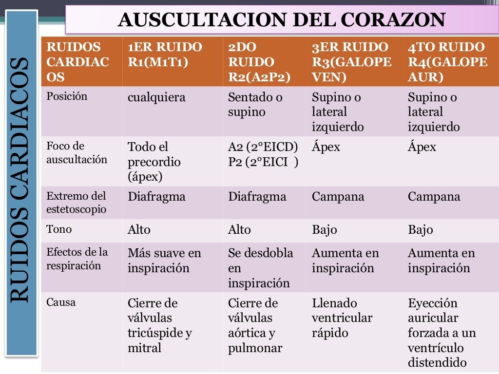 Semiología cardiaca: Auscultación – La Escuelita Médica