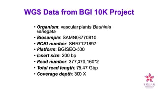 PAGAsia19 - The Digitalization of Ruili Botanical Garden Project ...