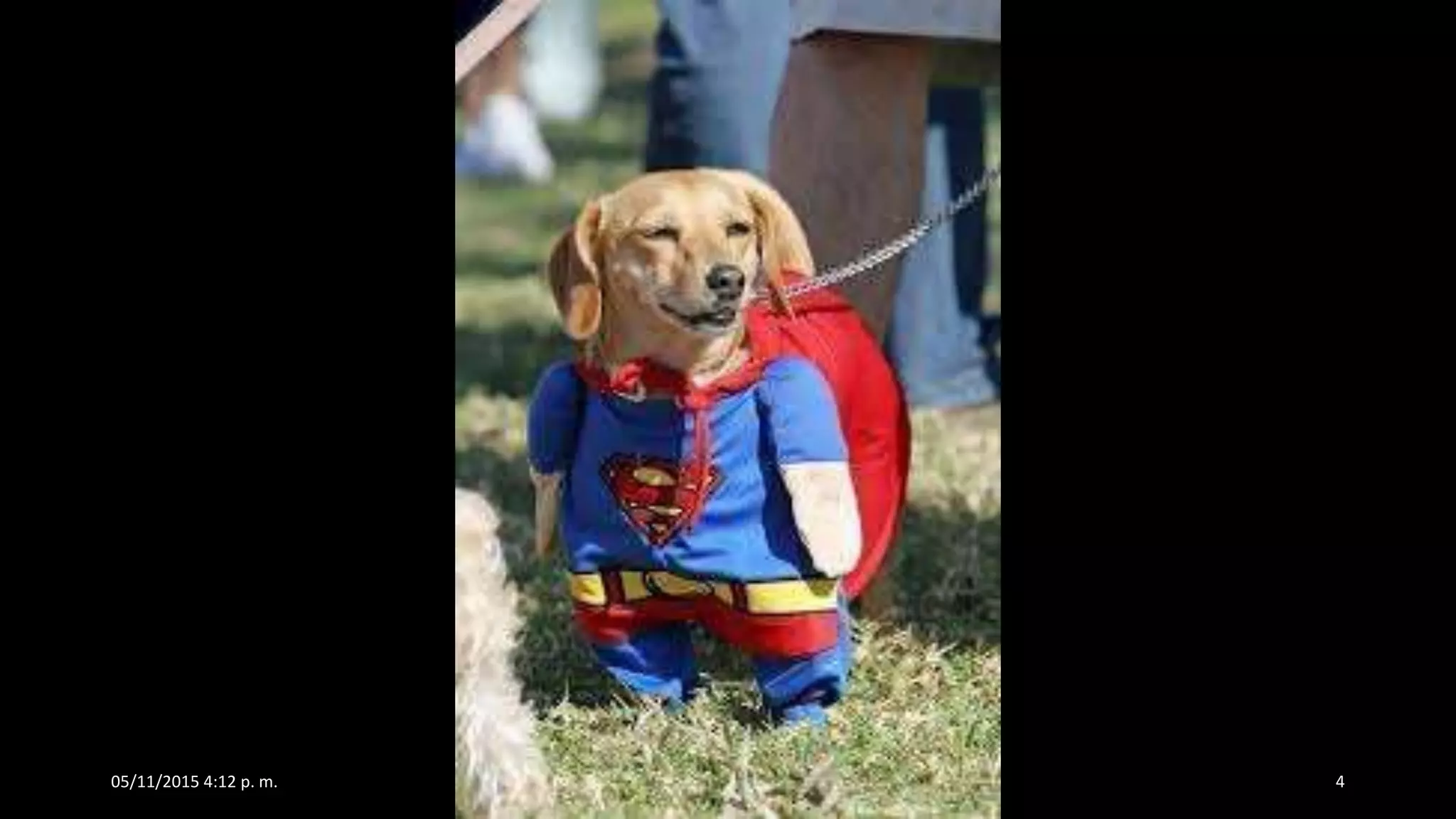 Ruiz cortés, william leonardo (mvb) microsoft power point | PPTX