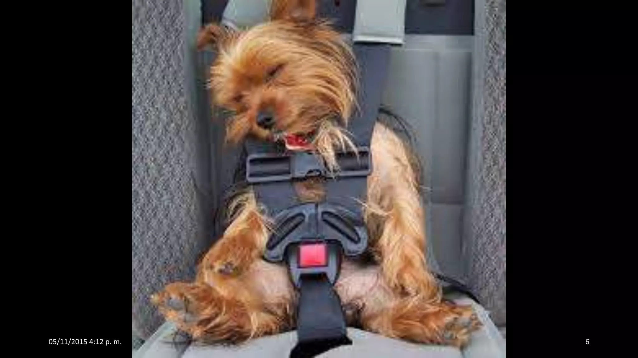 Ruiz cortés, william leonardo (mvb) microsoft power point | PPT | Free ...