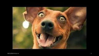 Ruiz cortés, william leonardo (mvb) microsoft power point | PPTX