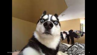 Ruiz cortés, william leonardo (mvb) microsoft power point | PPTX