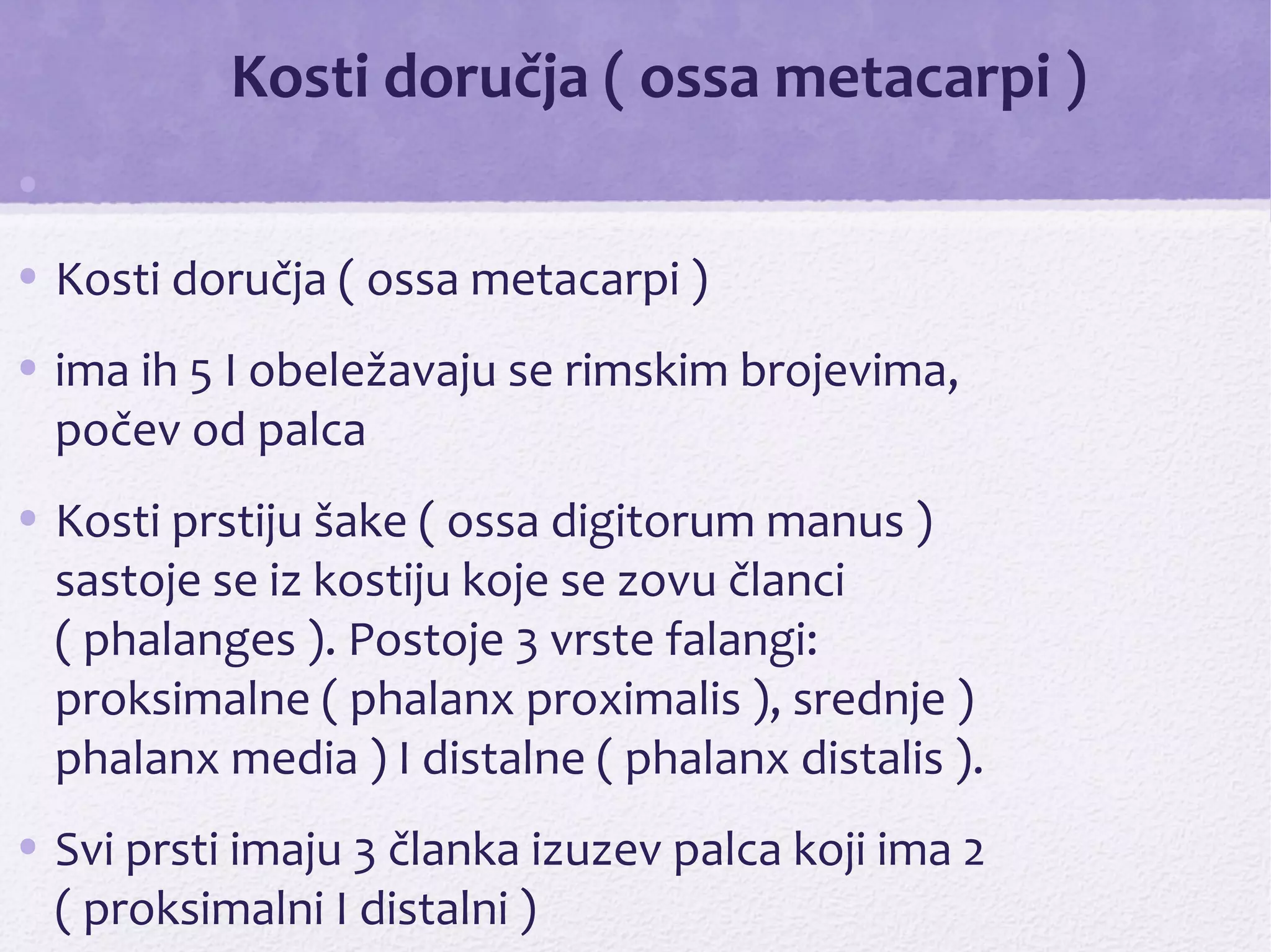 KOSTI RUKE | ODP